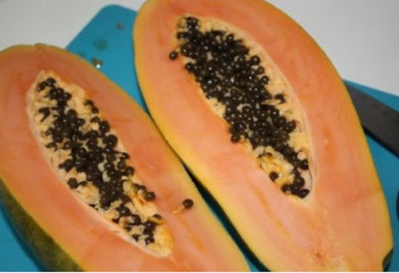 RARE Red Royale Papaya 3 ,10 or 20 Seeds Combined Shipping (pay ...