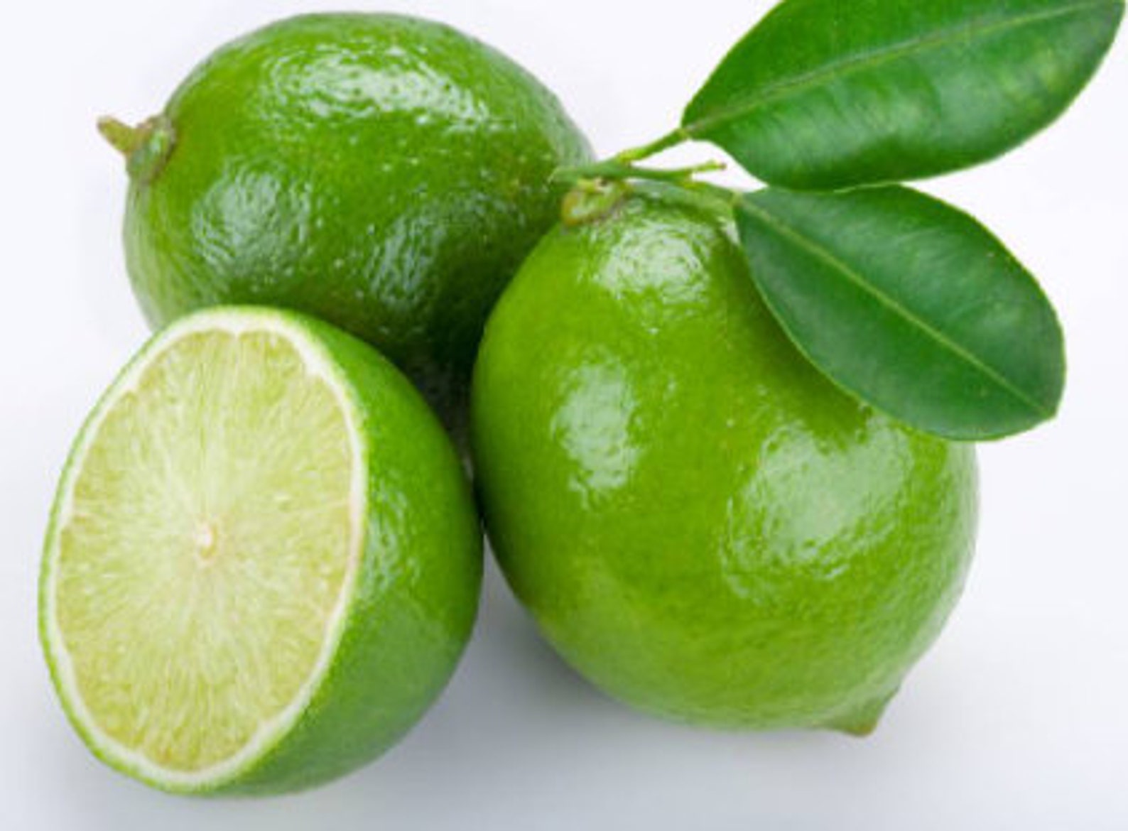 RARE Key LIME Fruit-grow Indoors in a Pot - Very Juicy Fruit- (fresh ...