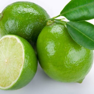 SEEDS- RARE LIME Fruit 5 Seeds (no Plant ) -grow in or Out- Combined ...