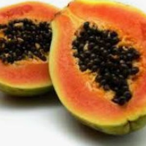 RARE Dwarf PAPAYA Fruit 2,,10 20 SEEDS Plant Tree -very Sweet Papaya ...