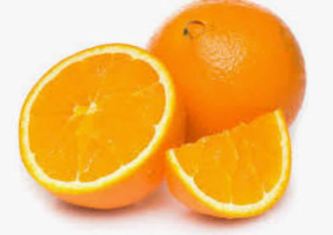 RARE Dwarf Mandarin Orange Tree-very Sweet-great for Growing - Etsy