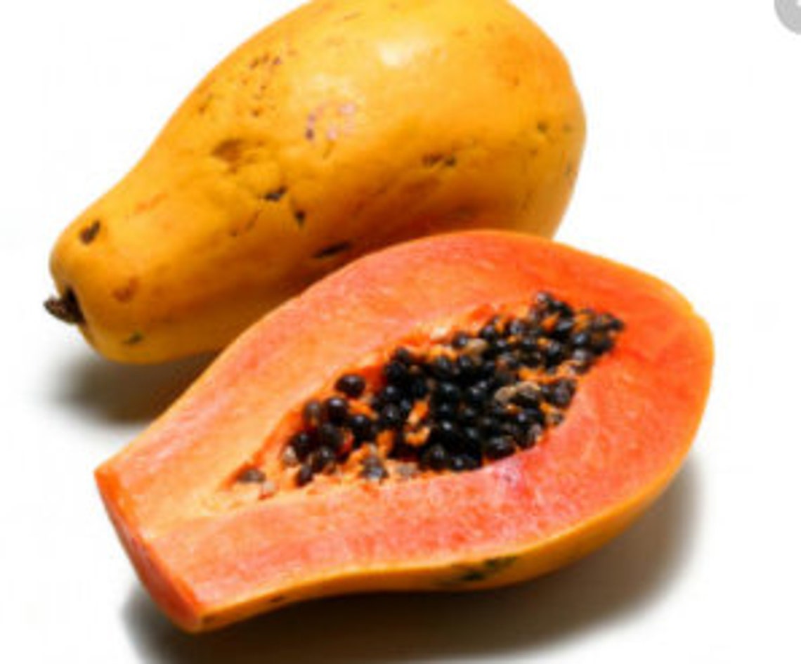 RARE Dwarf Solo PAPAYA Fruit 10 seeds no plant Grow | Etsy