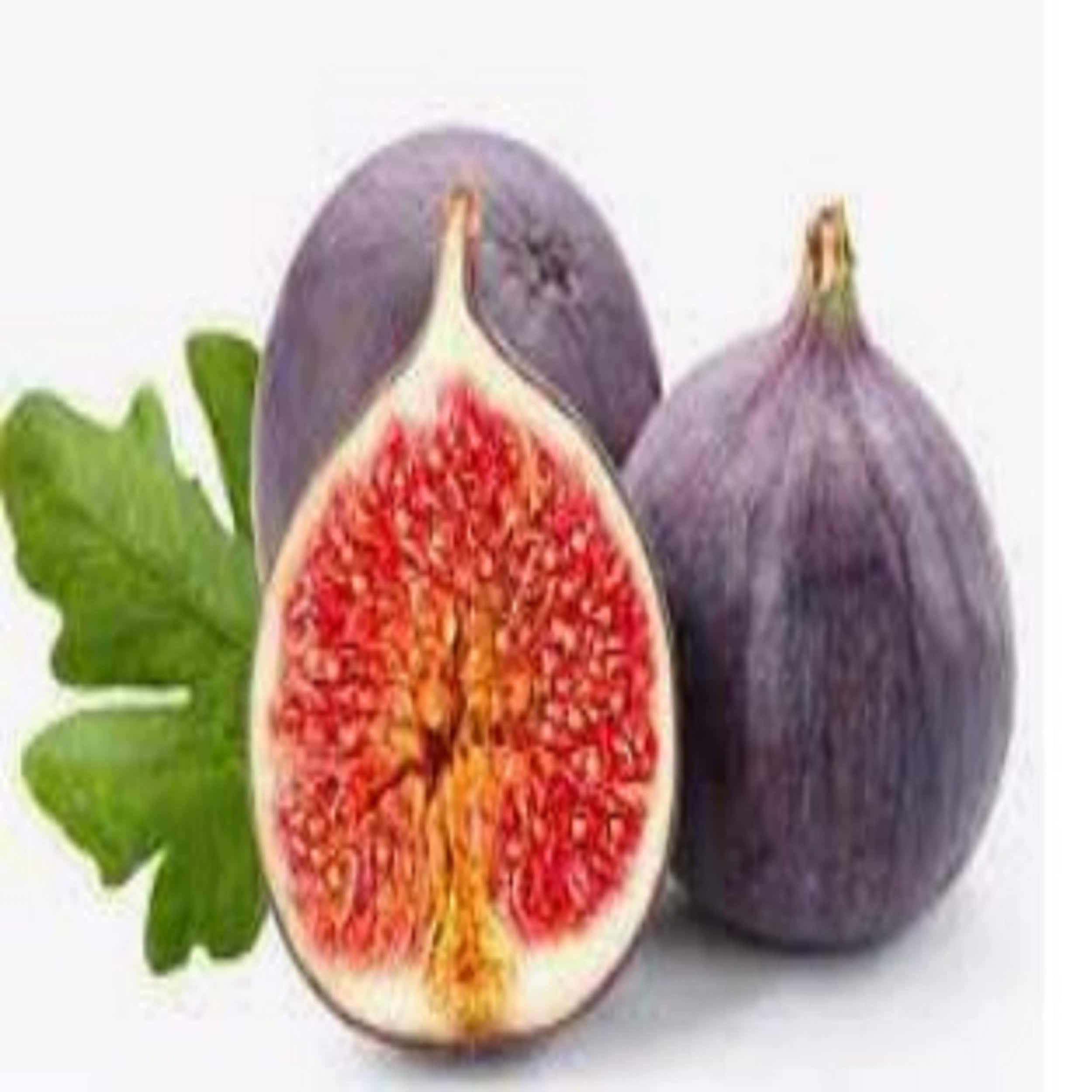 RARE Giant Fig-the Largest Fruit We've Ever Seen & Very Sweet! 2,10 30 ...
