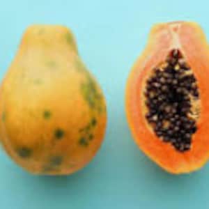 RARE Dwarf PAPAYA Fruit 2,,10 20 SEEDS Plant Tree -very Sweet Papaya ...