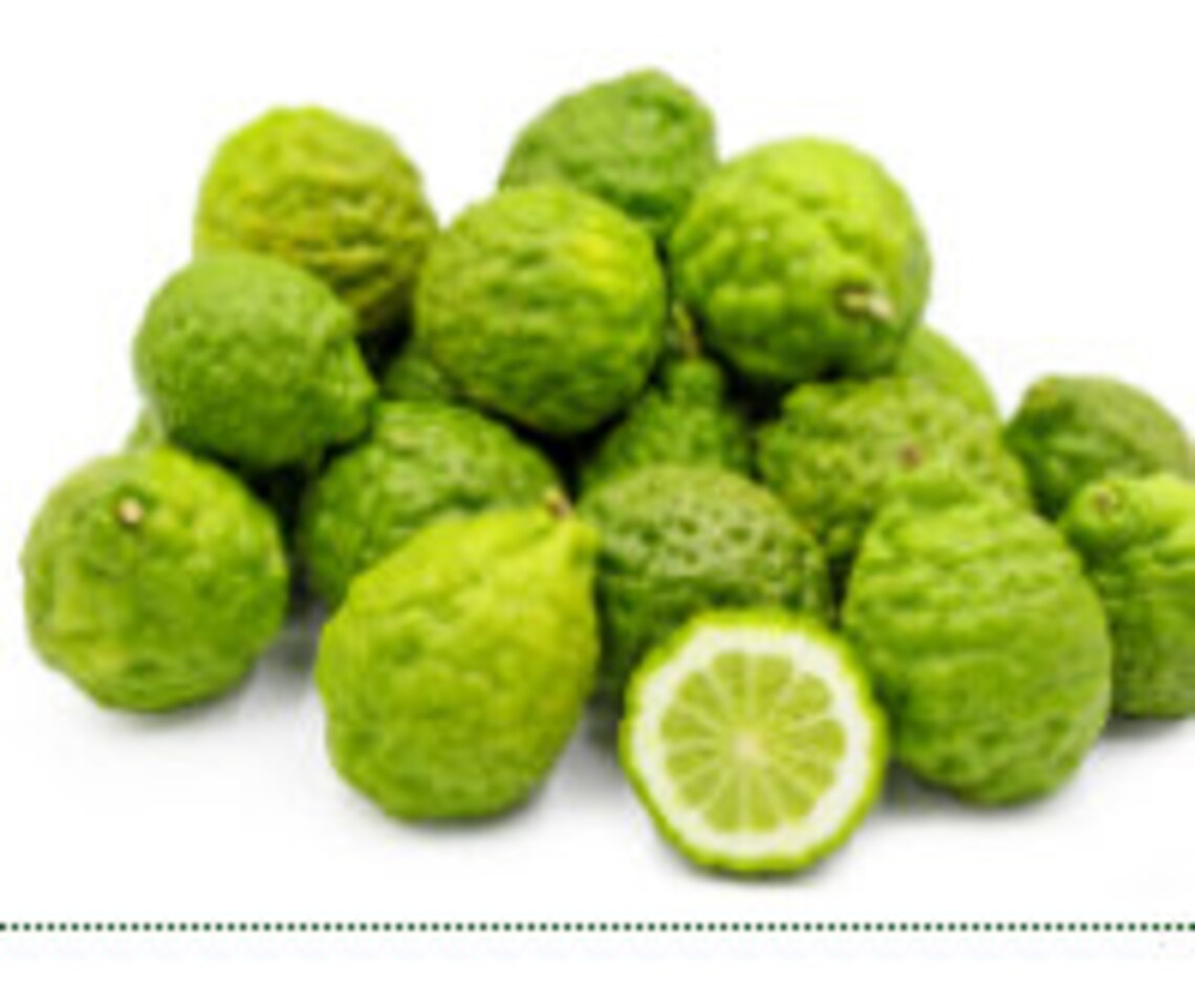 RARE Kaffir Lime-grow Indoors in a Pot or Out (2,5 or 10 SEEDS) Very ...