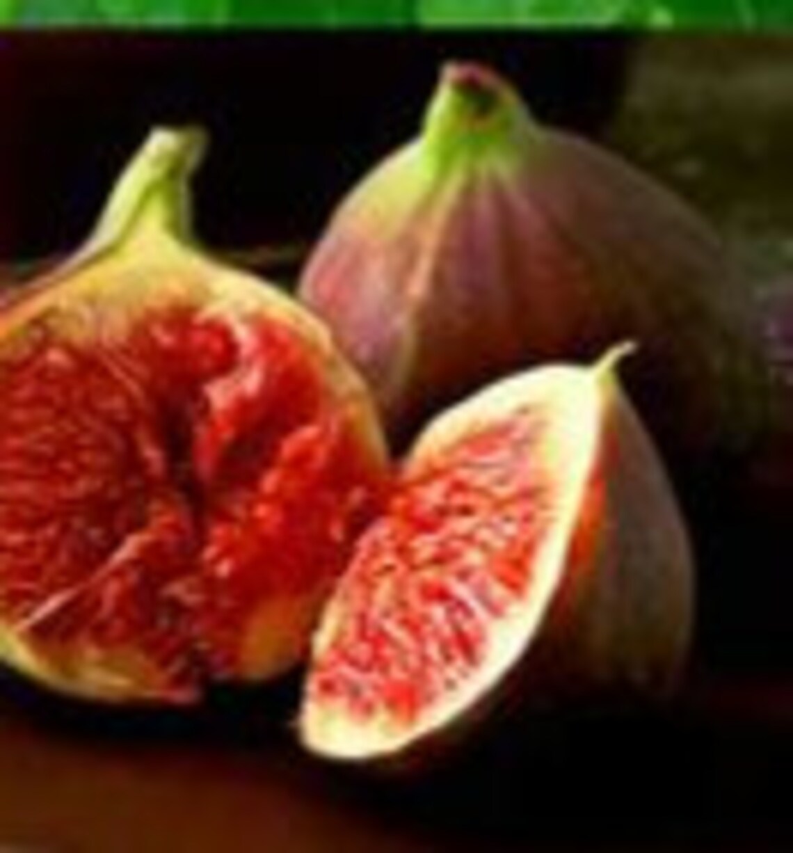 RARE Dwarf Fig Tree (ficus Carica) 3,10. 30 or 100 SEEDS Dwarf Rare ...