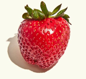 Rareno Plantdwarf STRAWBERRY Fruit Plant Tree 5 30. 100 0r - Etsy