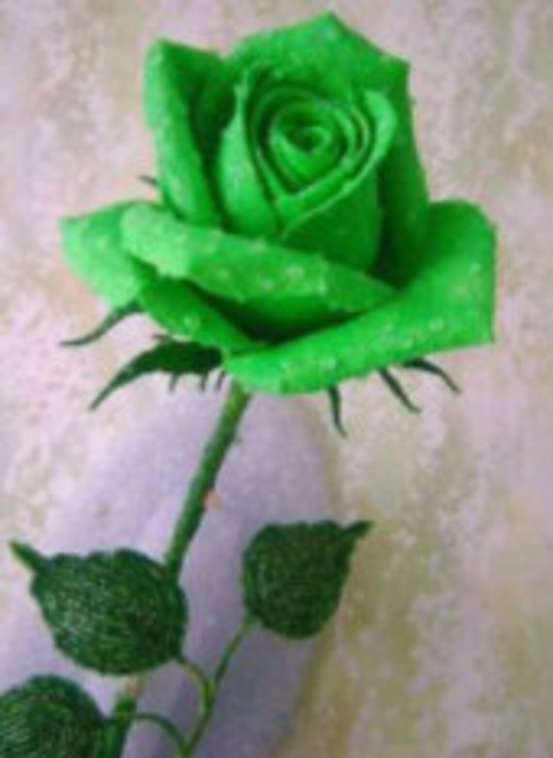 Rare GREEN ROSE Flower Tree Plant 2 10 or 20 SEEDS - Etsy
