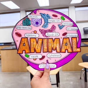 Animal Cell Labeling Project, Coloring Page, Diagram Activity ...