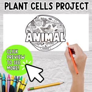 Animal Cell Labeling Project, Coloring Page, Diagram Activity ...