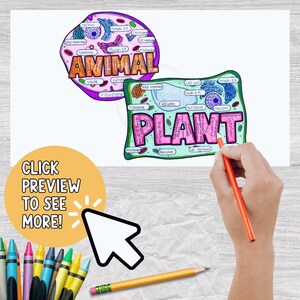 Plant and Animal Cell Labeling Project, Coloring Page, Diagram Activity ...