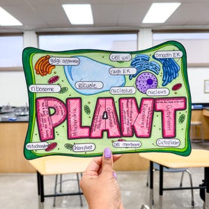 Plant Cell Labeling Project, Diagram Activity, Craftivity, Middle ...
