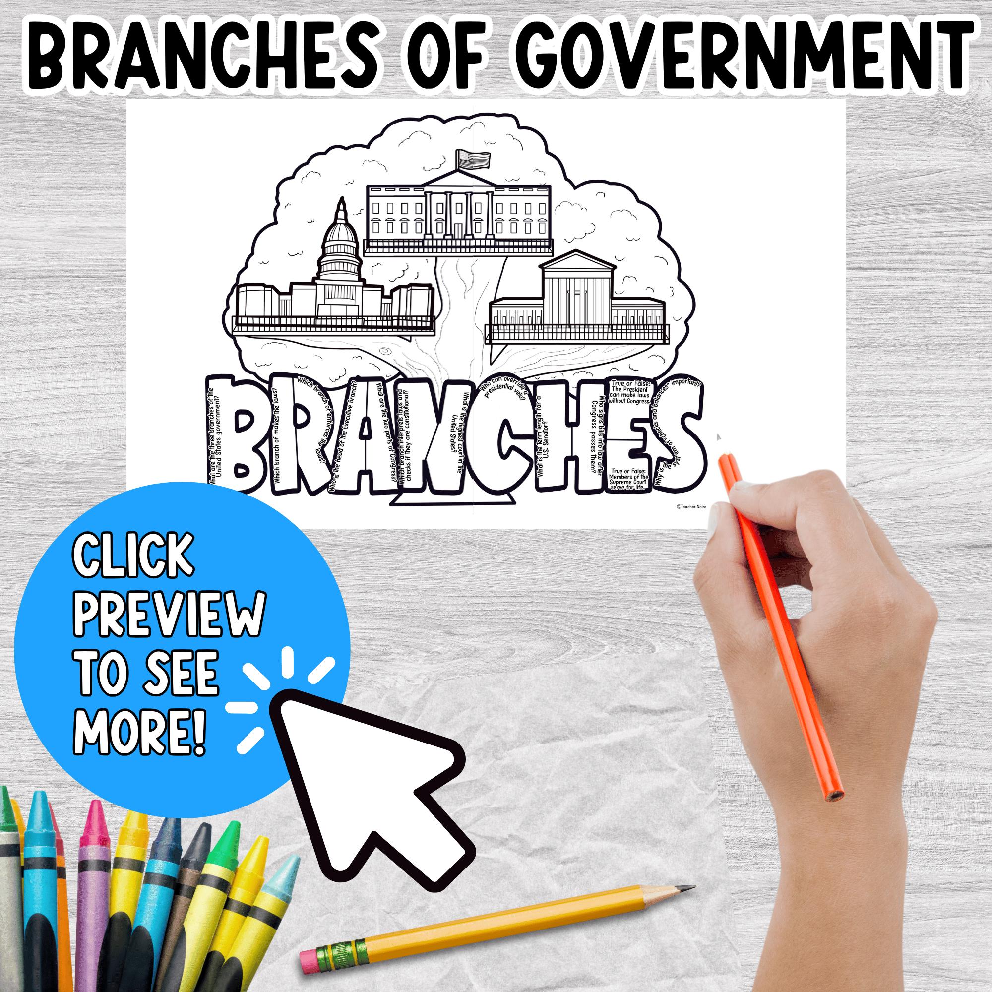 3 Branches of Government Worksheet Activity Project, the Amendments ...