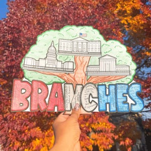 3 Branches of Government Worksheet Activity Project, the Amendments ...