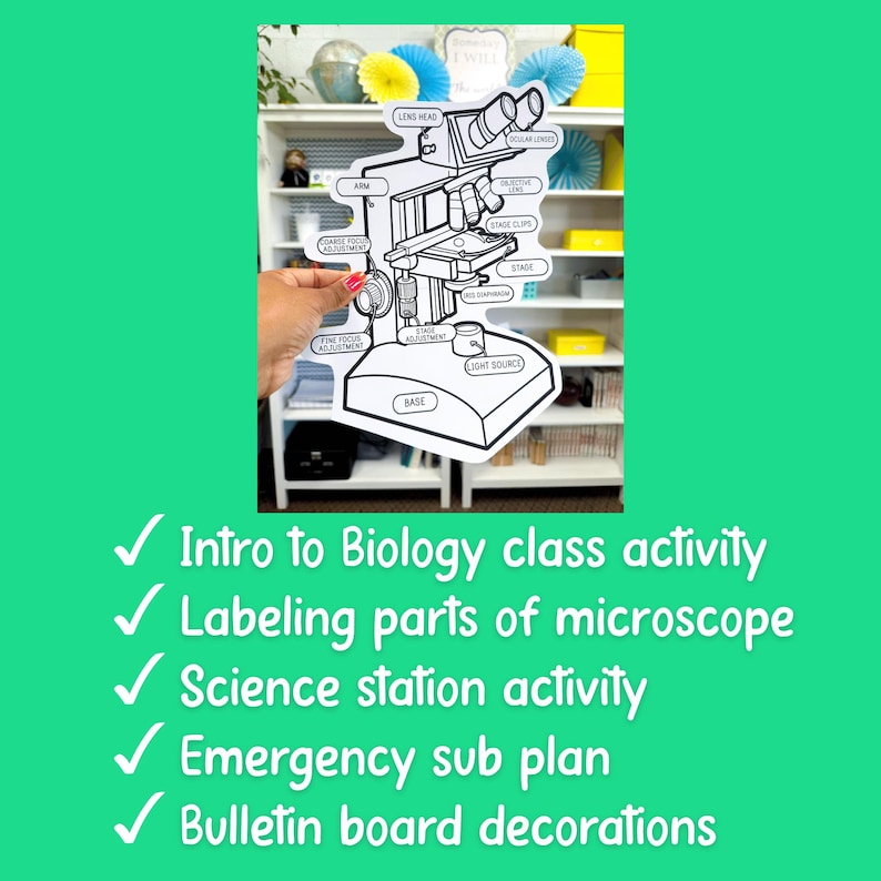 Parts of a Microscope, Intro to Biology, All About Me Craft, Bulletin ...