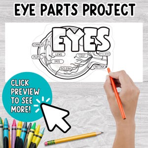 Human Eye Labeling Project, Parts of the Eye Diagram Activity ...