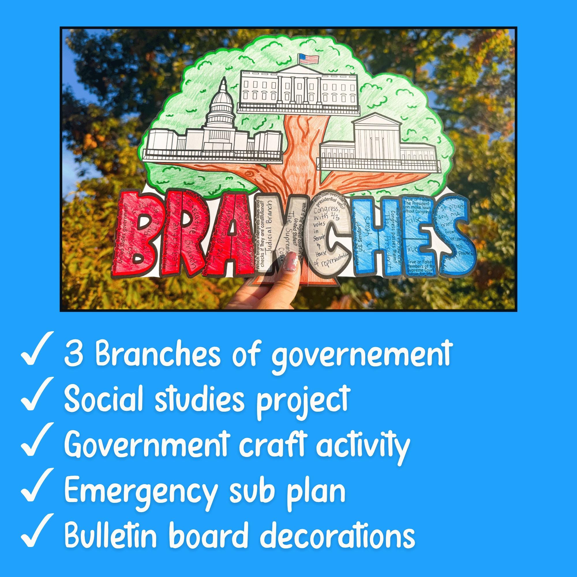 3 Branches of Government Worksheet Activity Project, the Amendments ...