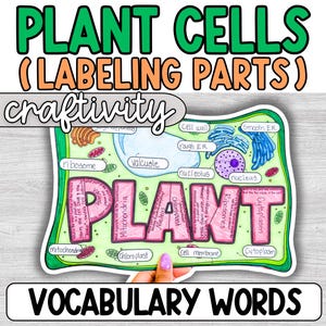 Plant Cell Labeling Project, Diagram Activity, Craftivity, Middle ...