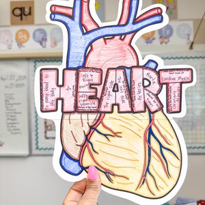 Parts of the Heart Diagram, Anatomy of Heart, Cardiovascular System ...