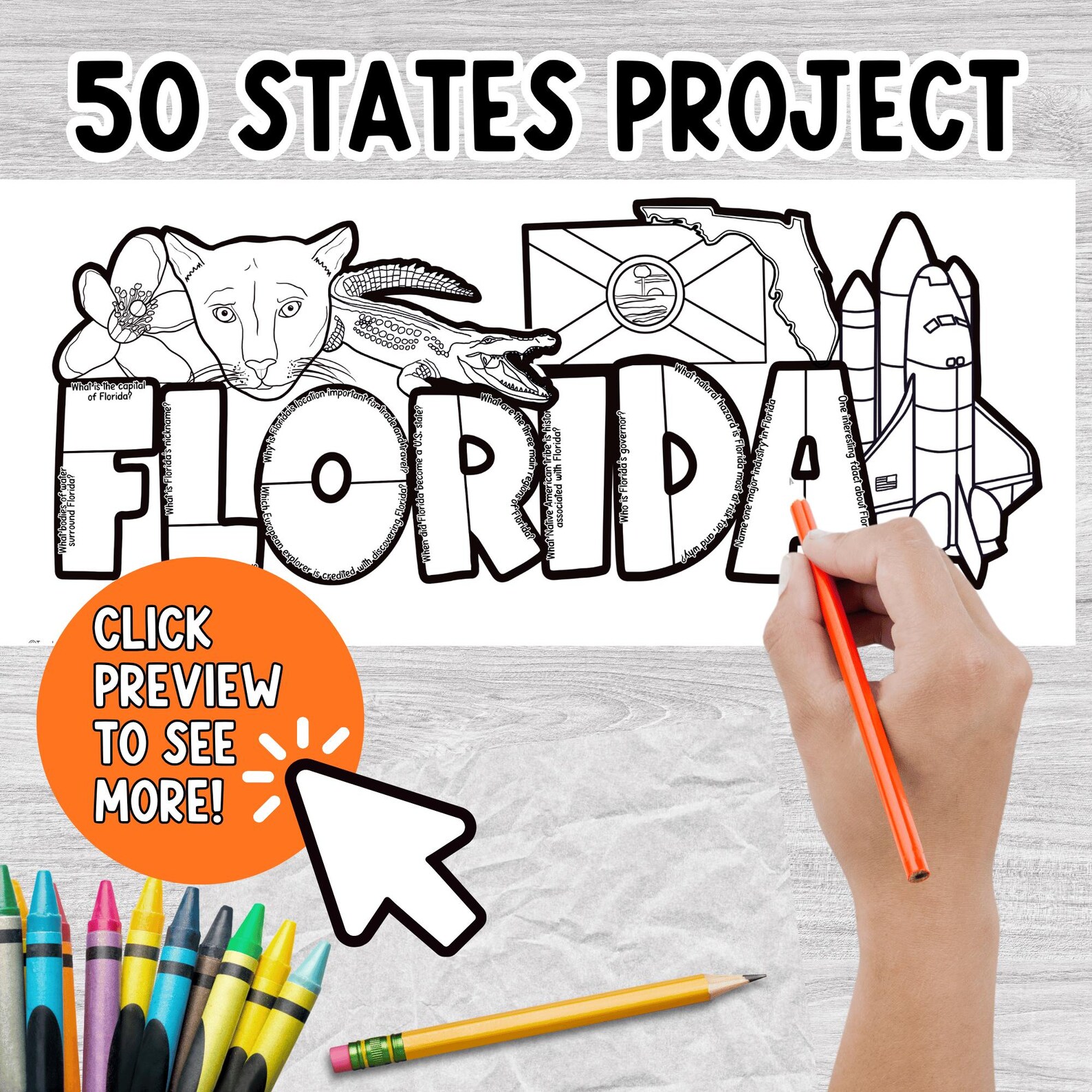Florida State Research Project, Coloring Page, 4th-5th Grade Activity ...