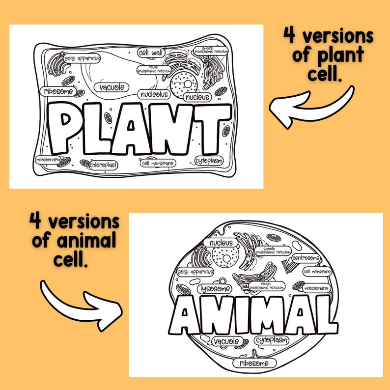 Plant And Animal Cell Labeling Project Coloring Page Diagram Activity Plant And Animal Cell Labeling Project Coloring Page Diagram Activity