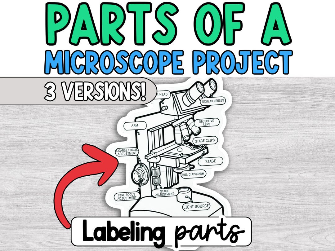 Parts of a Microscope, Intro to Biology, All About Me Craft, Bulletin ...