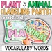 Plant and Animal Cell Labeling Project, Coloring Page, Diagram Activity ...