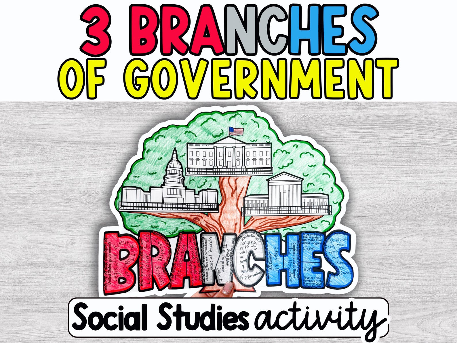 3 Branches of Government Worksheet Activity Project, the Amendments ...