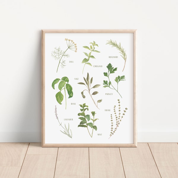 Herb Poster - Etsy