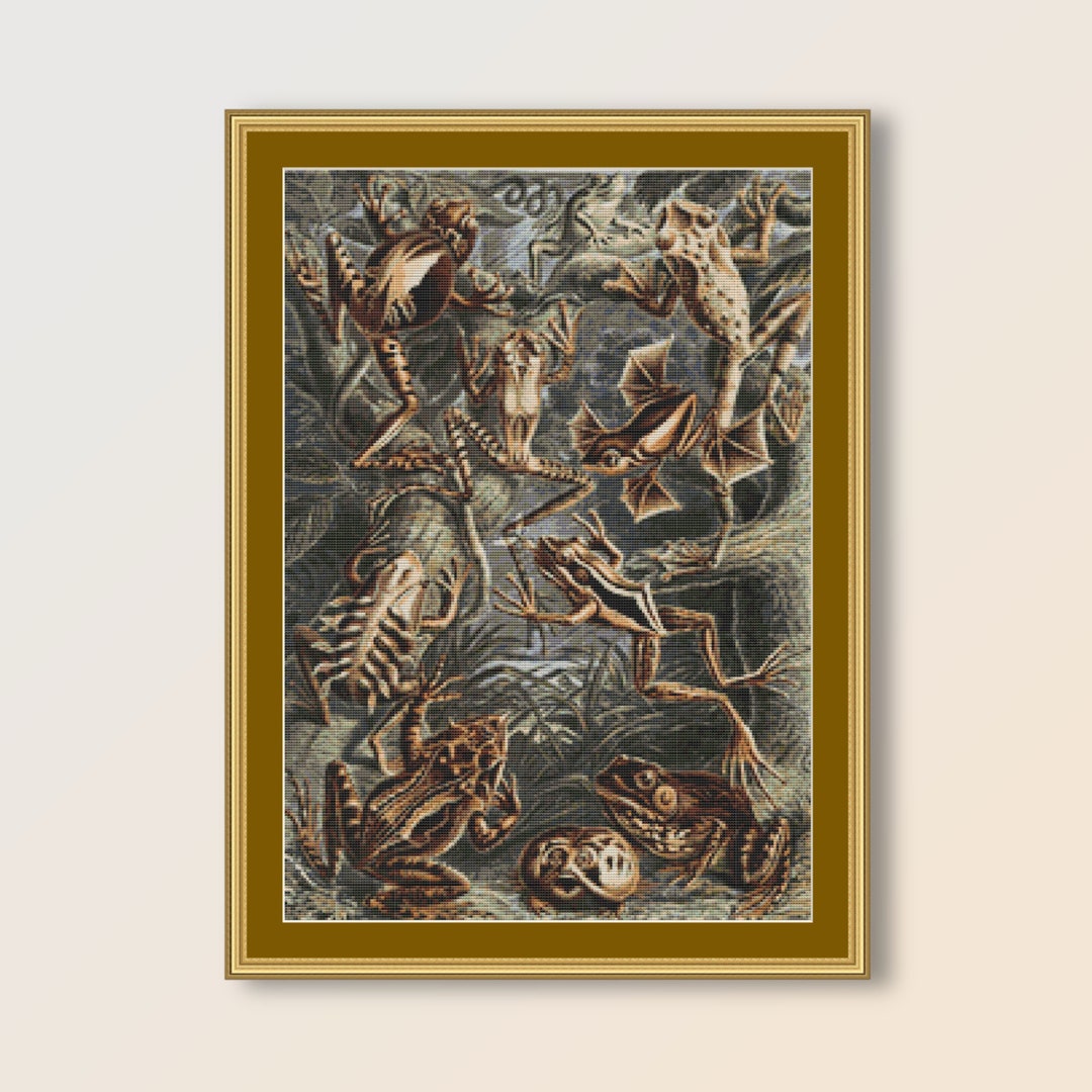 Ernst Haeckel Frog Cross Stitch Pattern, Batrachia, Instant Download ...
