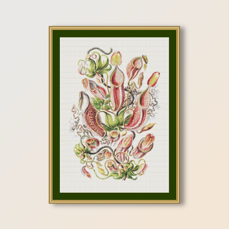 Ernst Haeckel Cross Stitch Pattern, Nepenthaceae, Tropical Pitcher ...
