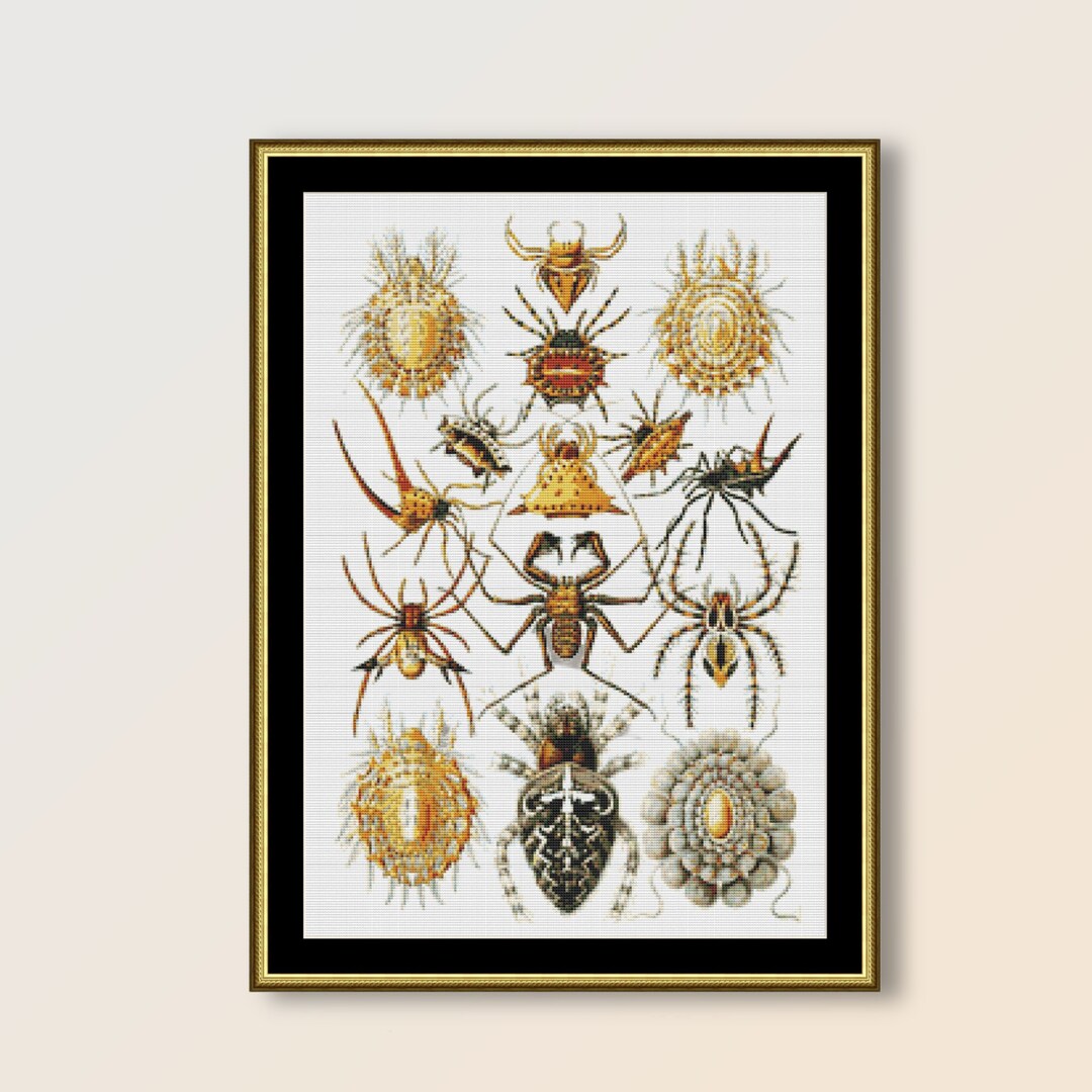 Ernst Haeckel Cross Stitch Pattern, Arachnida, Instant Download Spider ...