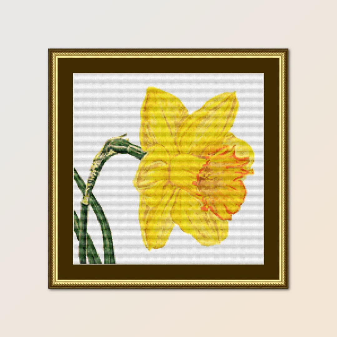 Printable Daffodil Cross Stitch Pattern, Instant Download Floral PDF ...