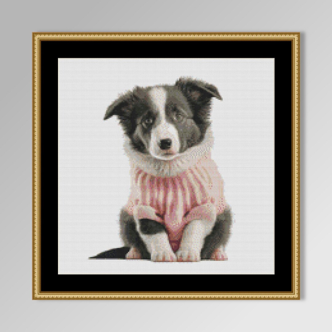 Border Collie Cross Stitch Pattern, Instant Download, Printable ...