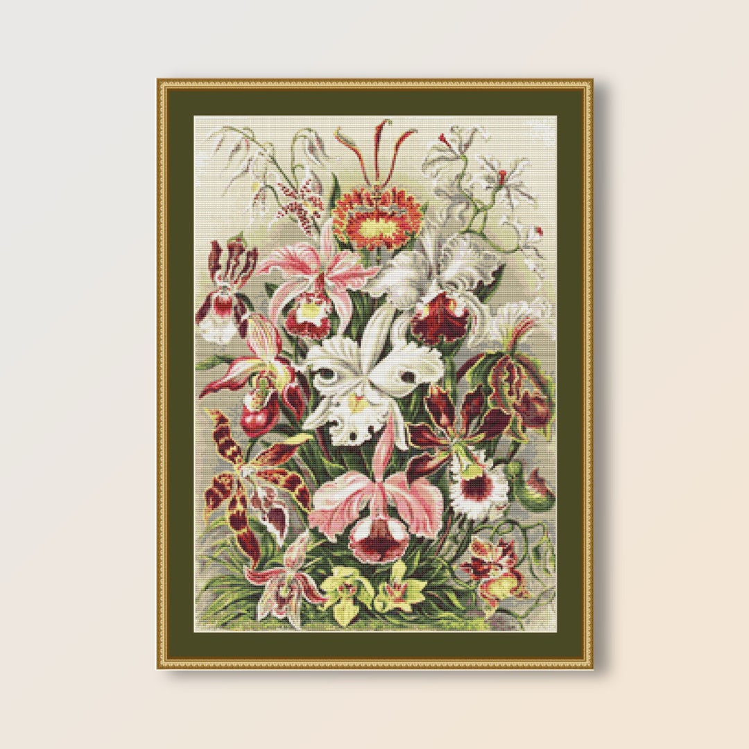 Ernst Haeckel Orchid Cross Stitch Pattern, Orchideae, Instant Download ...