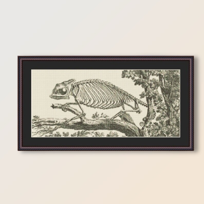 Printable Chameleon Skeleton Cross Stitch Pattern, Instant Digital ...