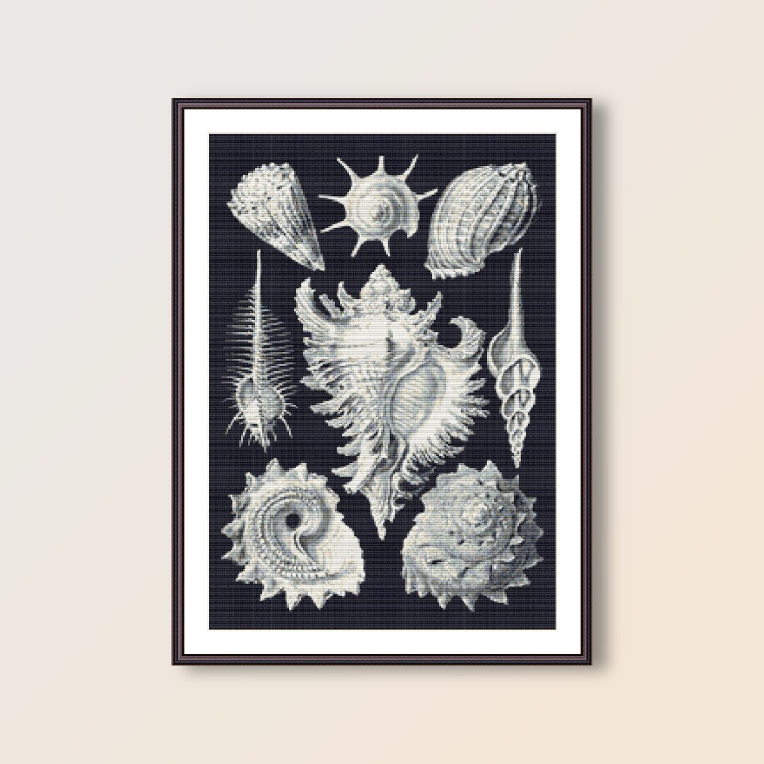 Ernst Haeckel Sea Snail Cross Stitch Pattern, Prosobranchia, Instant ...