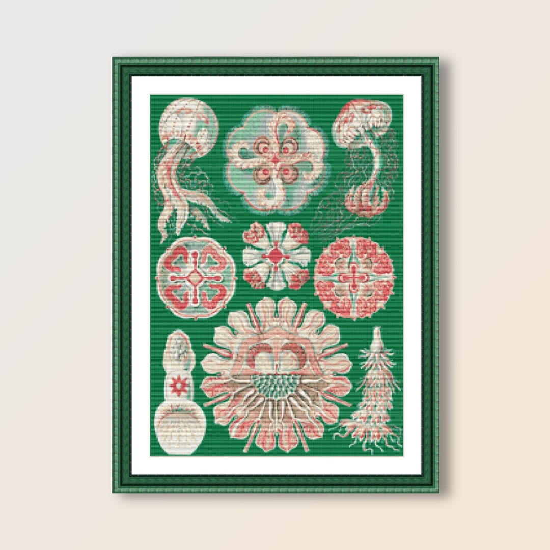Ernst Haeckel Jellyfish Cross Stitch Pattern, Discomedusae, Instant ...
