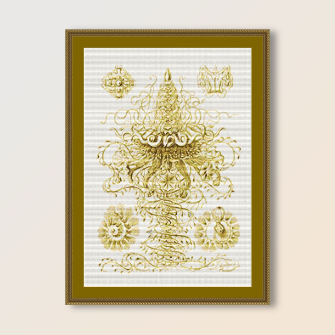 Ernst Haeckel Siphonophorae Cross Stitch Pattern, Instant Download ...