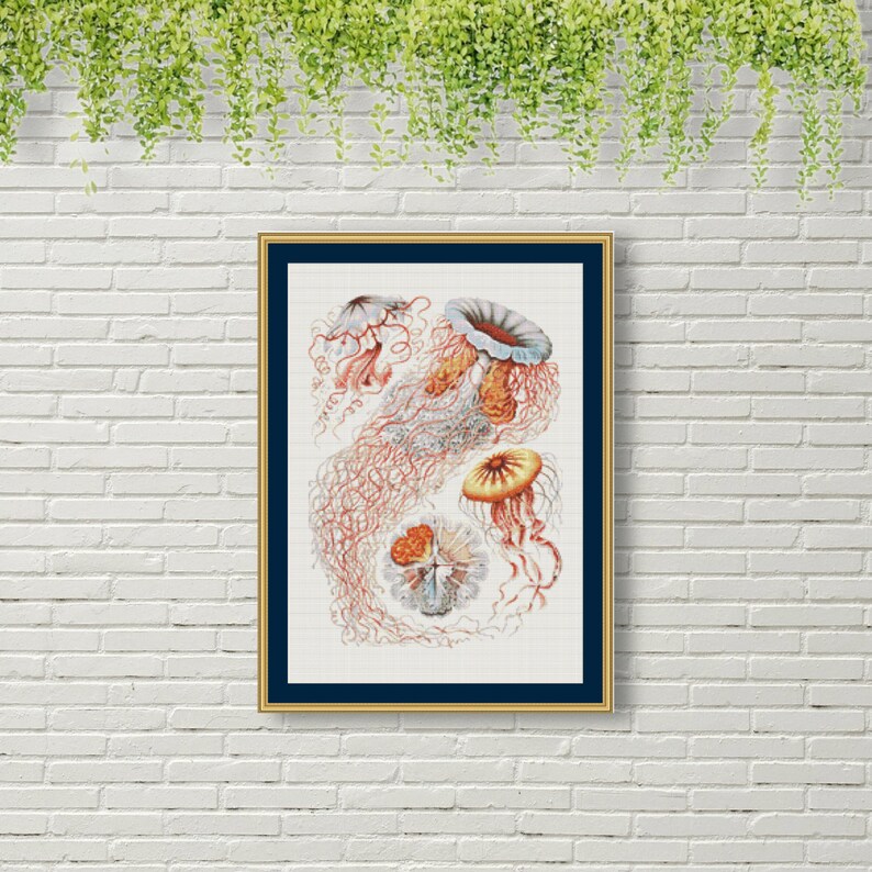 Ernst Haeckel Cross Stitch Pattern Discomedusae Instant - Etsy