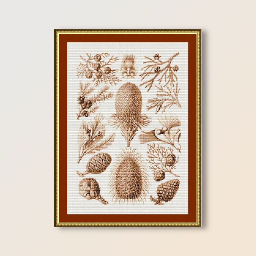 Ernst Haeckel Evergreen Cross Stitch Pattern, Coniferae, Instant ...