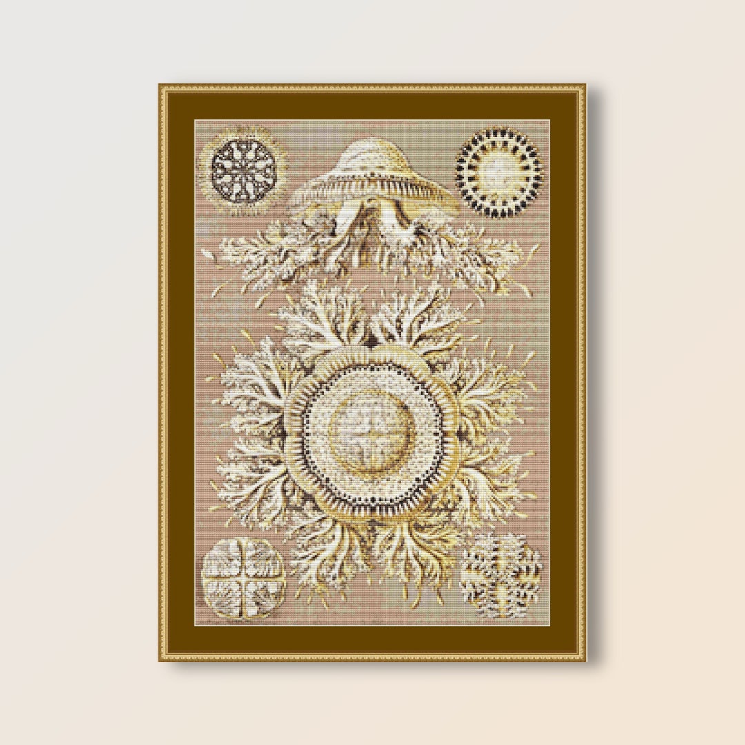Ernst Haeckel Cross Stitch Pattern, Discomedusae, Instant Download ...