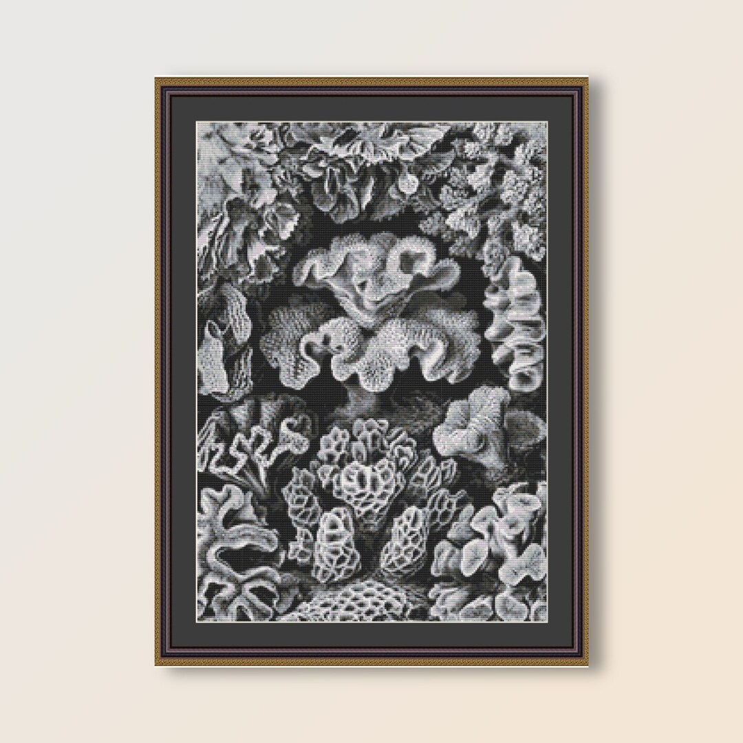 Ernst Haeckel Coral Cross Stitch Pattern, Hexacorallia, Instant ...