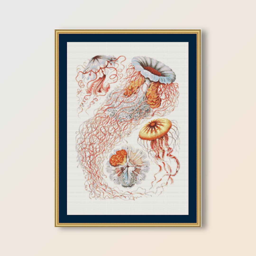 Ernst Haeckel Cross Stitch Pattern, Discomedusae, Instant Download ...