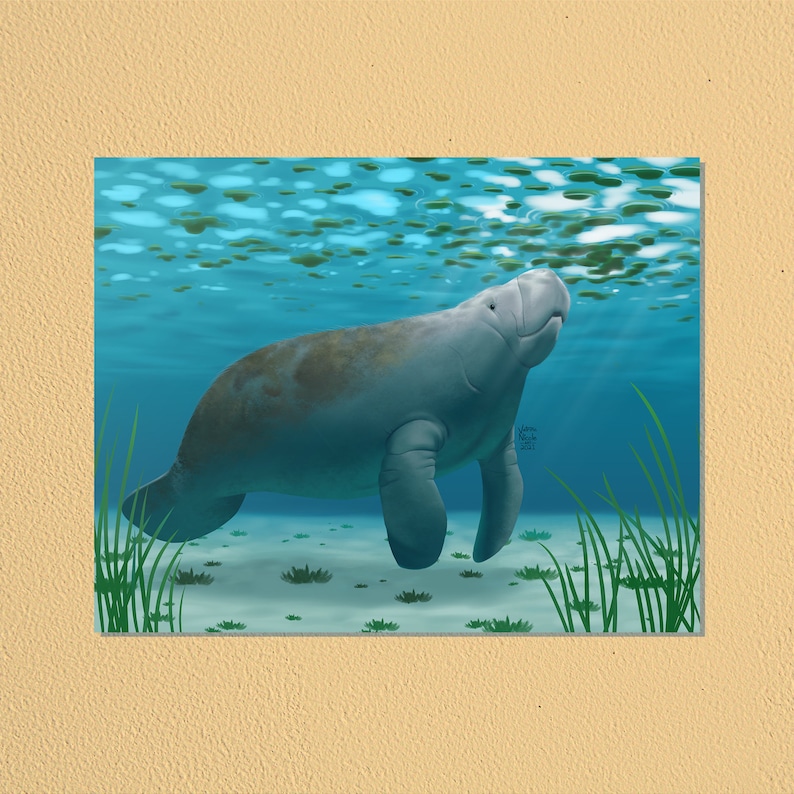 The Curious Manatee - Luster Art Print || Animal Wall Art, Wildlife Home Decor - Etsy