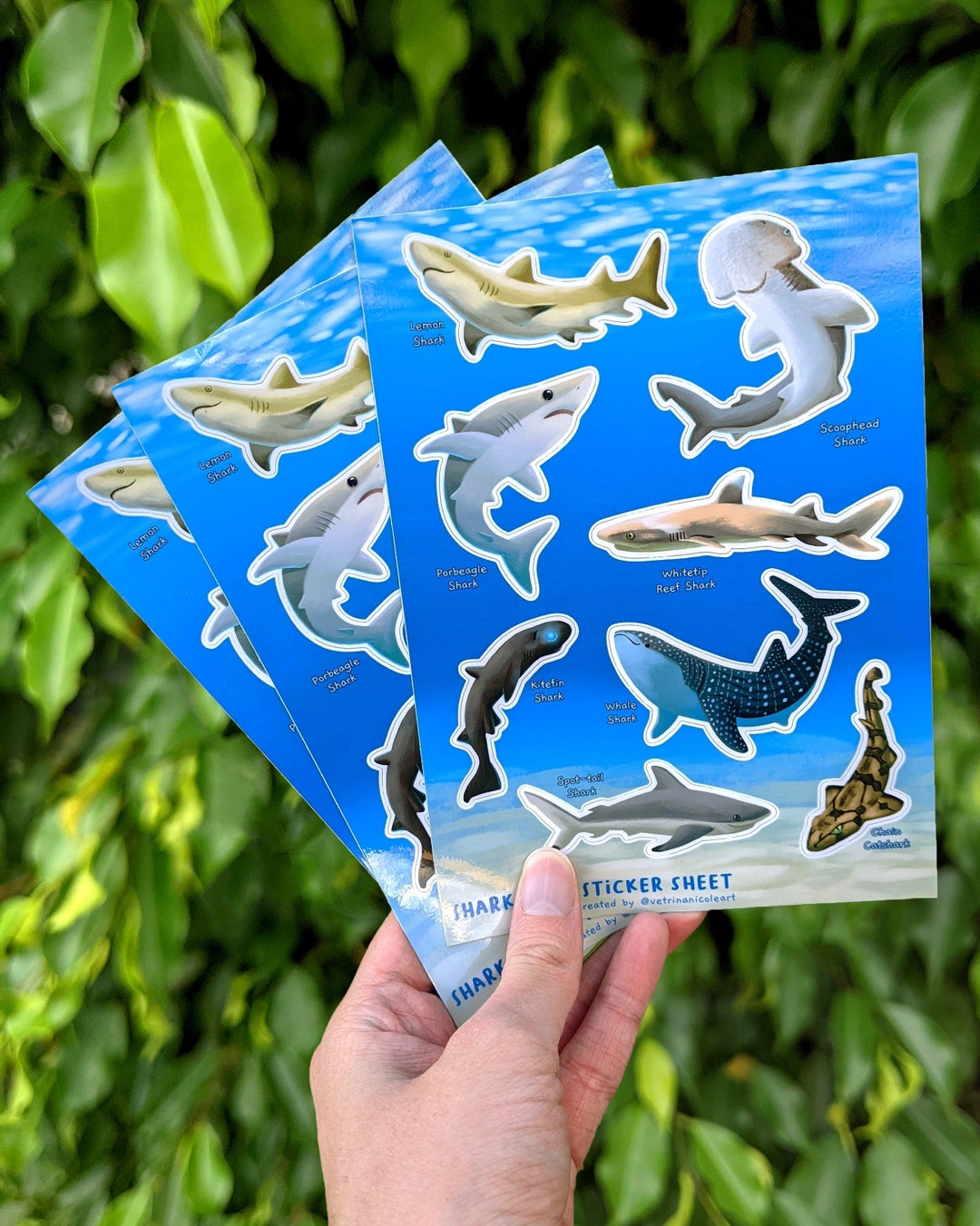 Shark Week Sticker Sheet - Glossy Vinyl Shark Species Stickers - Etsy