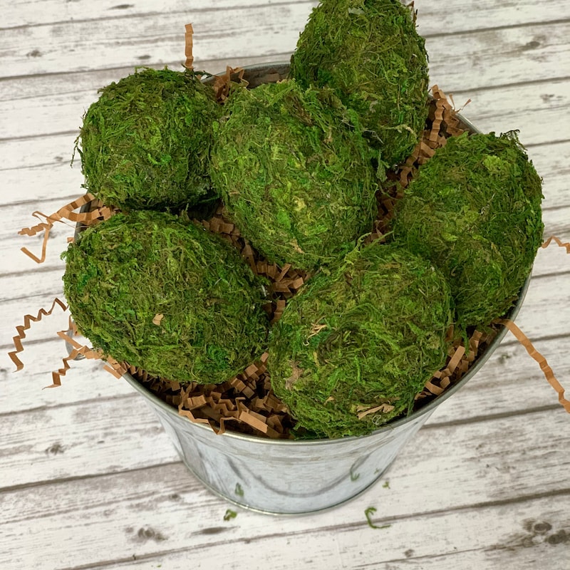 Moss Covered - Etsy