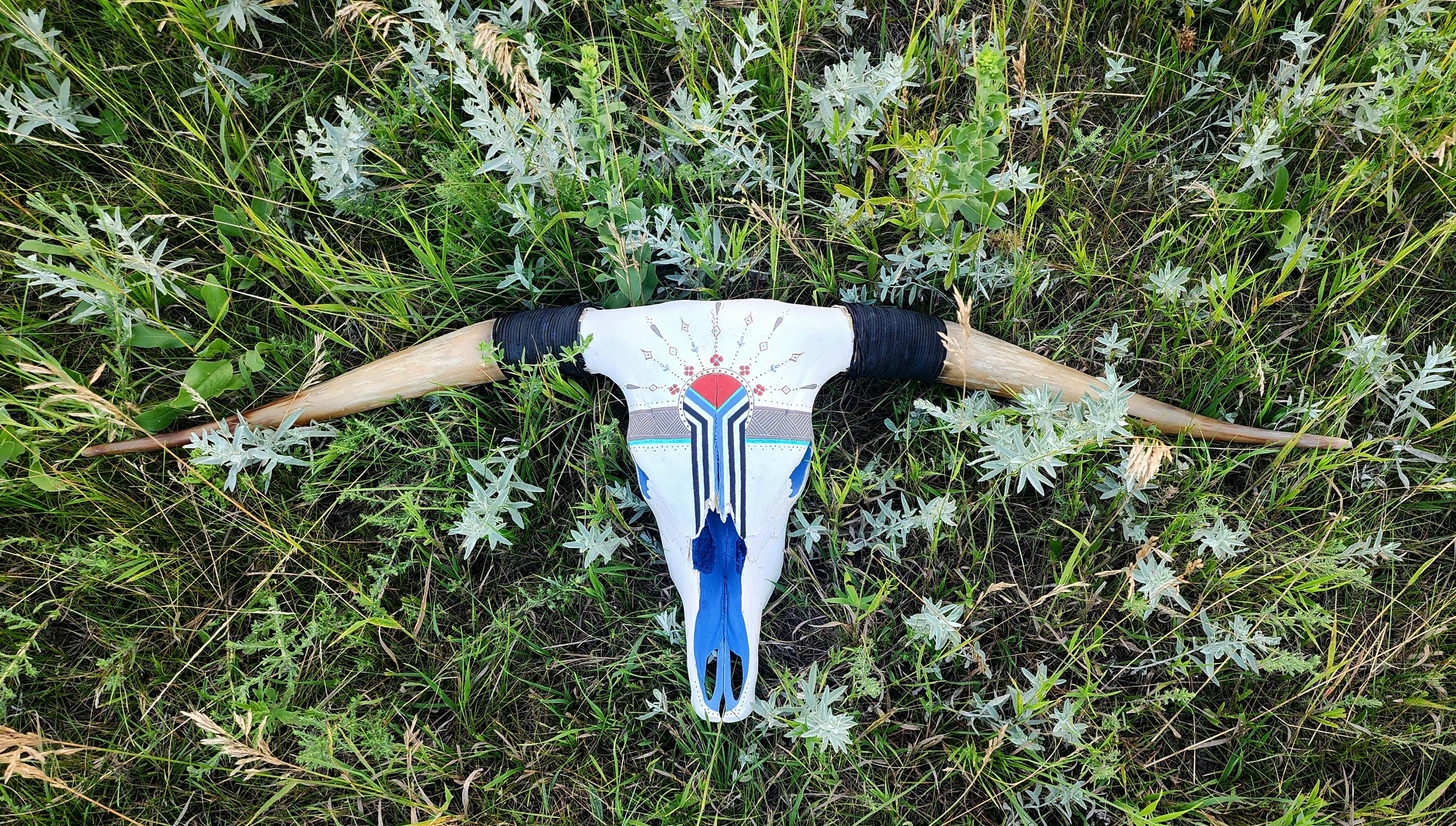 Painted Longhorn Skull - Etsy