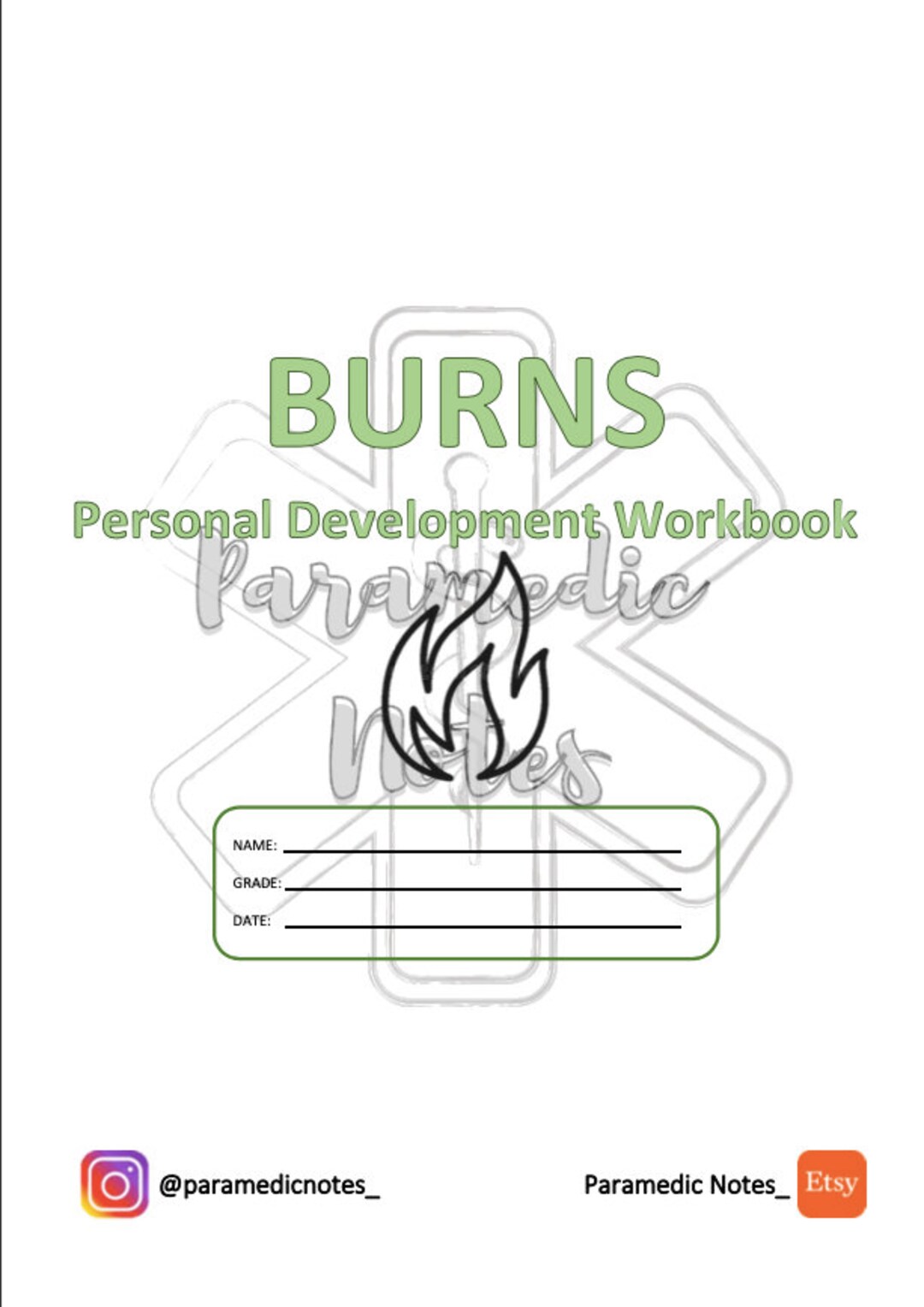 Burns Professional Development Workbook - Etsy