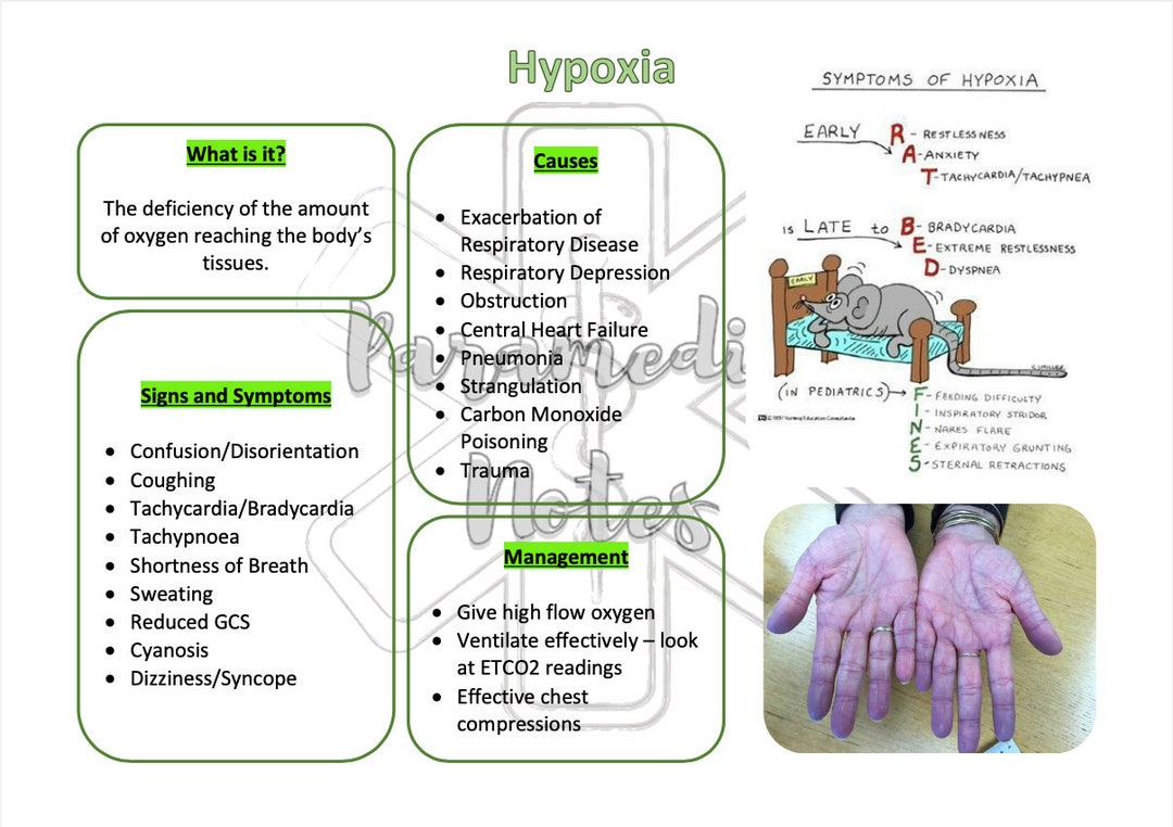 Cardiac Arrest Reversible Causes - Etsy